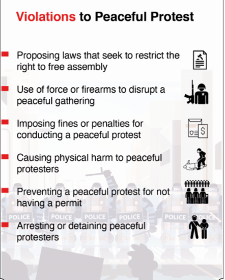 Right to Protest. Organising and participating in rallies or protests ...